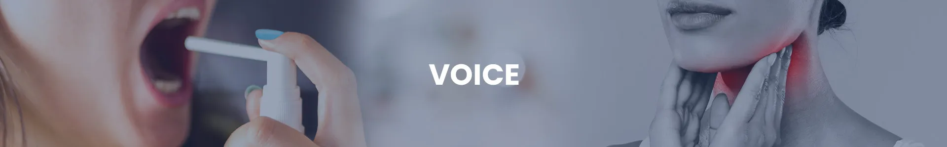 Voice